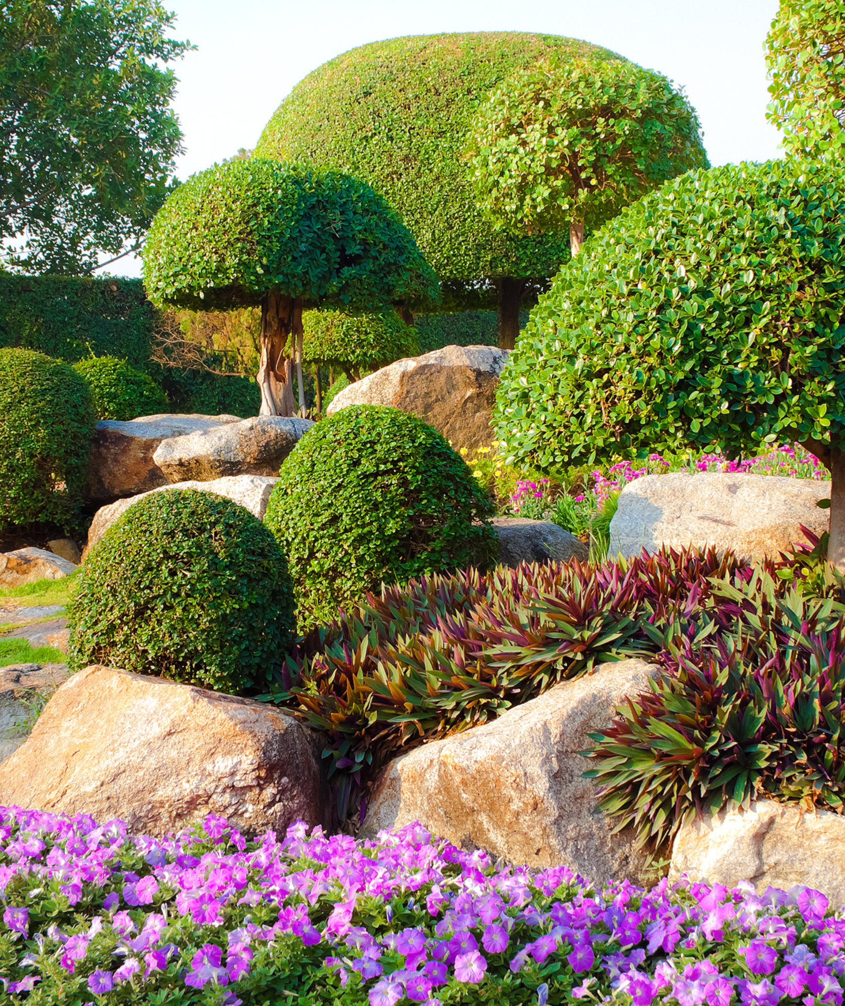 Tree and Shrub Installation - Premium Outdoor Services